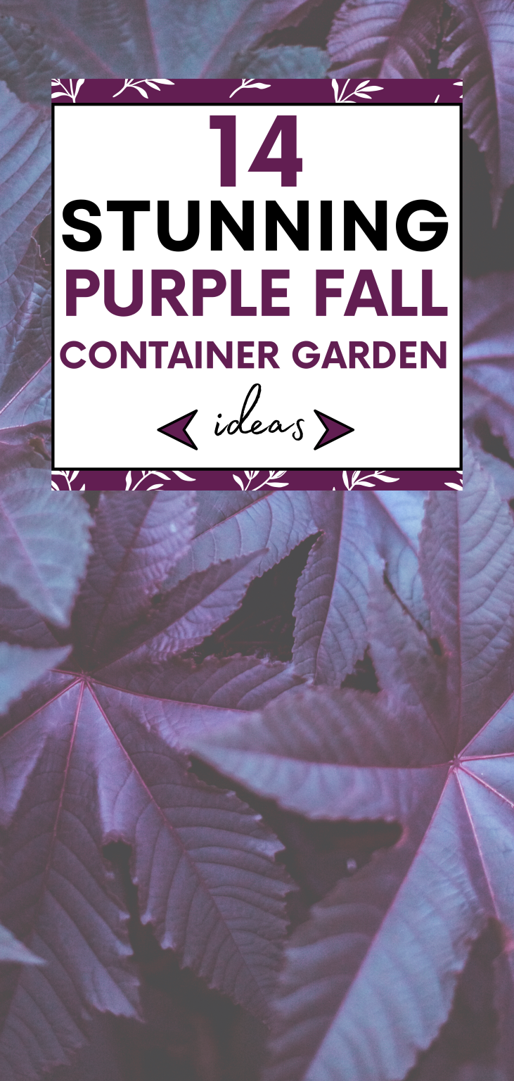 14 Stunning Purple Fall Container Garden Ideas - My Home And Kitchen