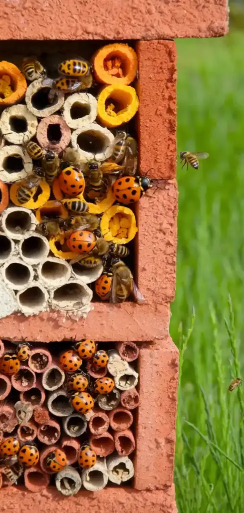 12 Easy Bug Hotel Craft Ideas - My Home And Kitchen