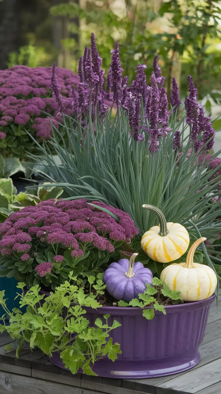 14 Stunning Purple Fall Container Garden Ideas - My Home And Kitchen