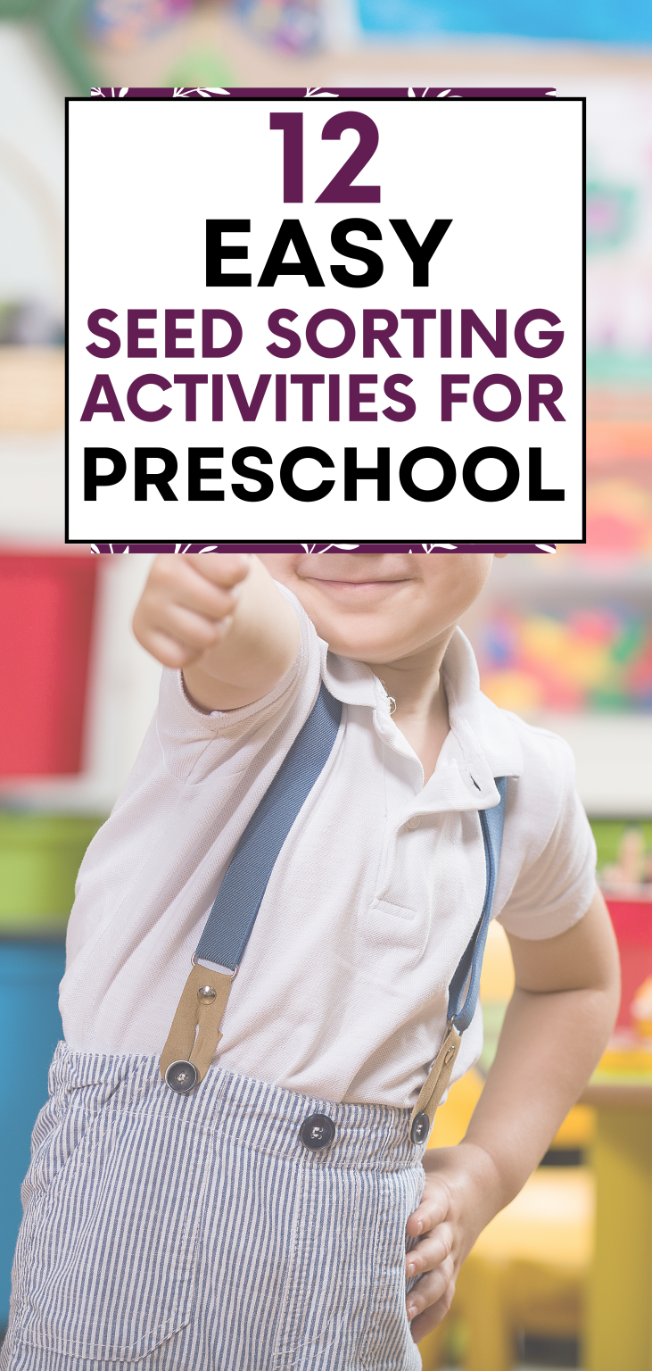 12 Easy Seed Sorting Activities for Preschool - My Home And Kitchen