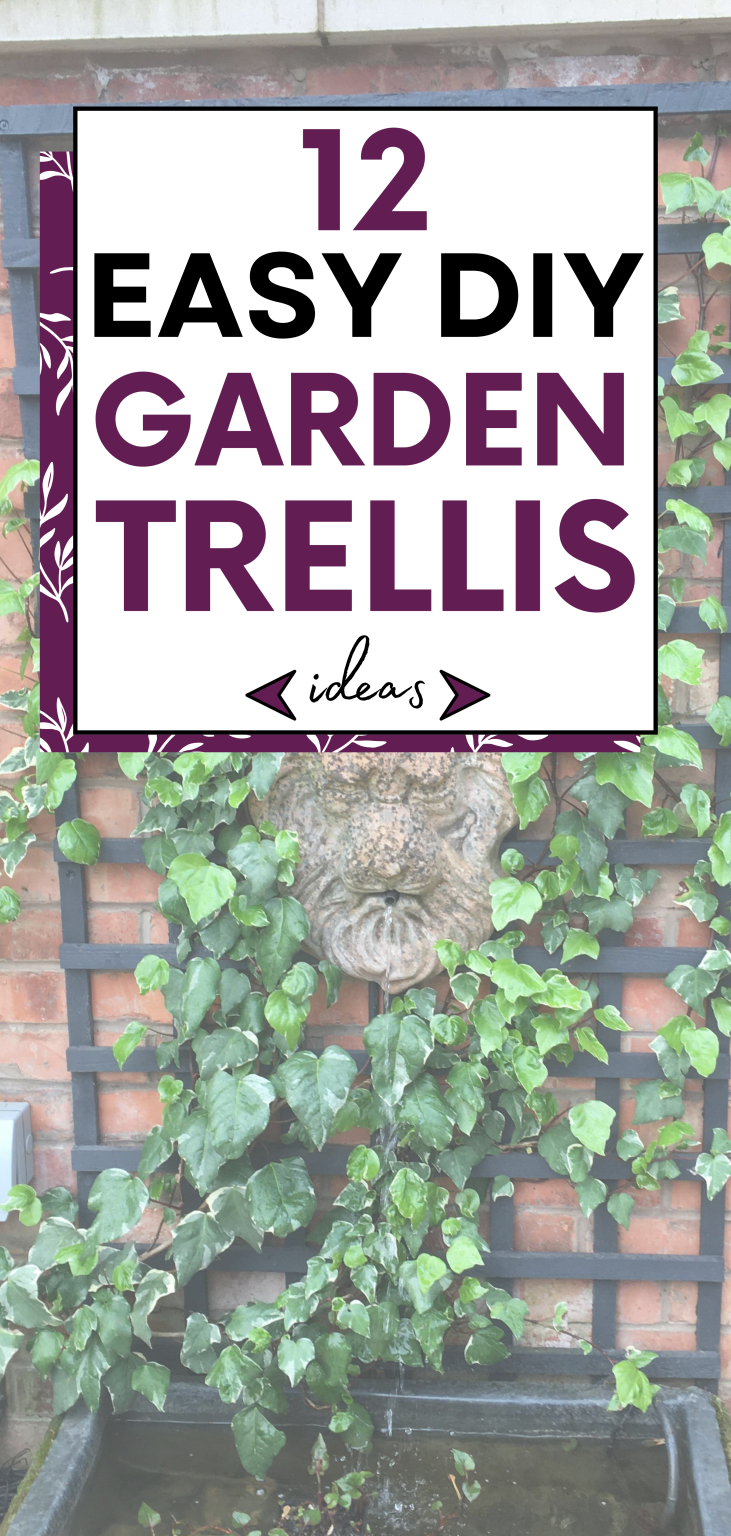 12 Easy DIY Garden Trellis Ideas - My Home And Kitchen