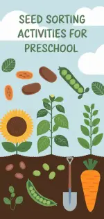 12 Easy Seed Sorting Activities for Preschool - My Home And Kitchen