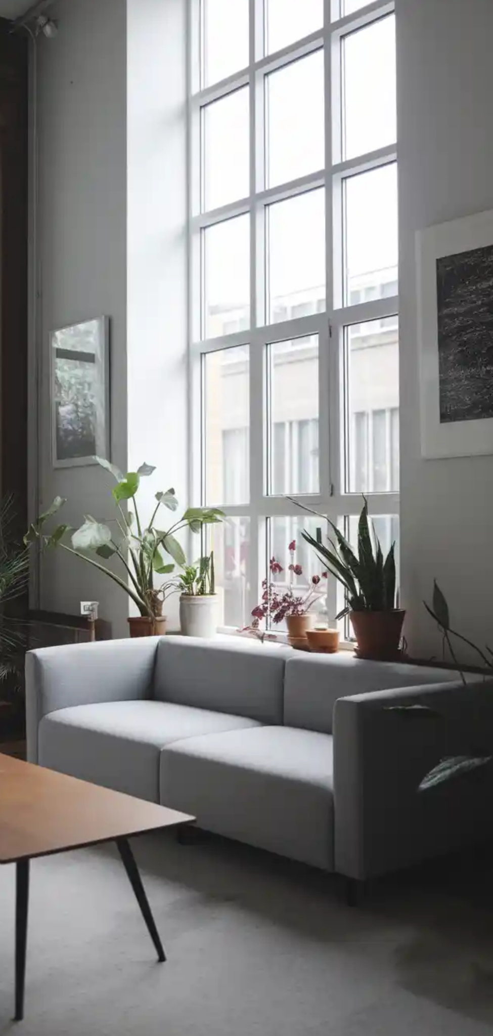 15 Easy and Modern Grey Couch Living Room Ideas - My Home And Kitchen