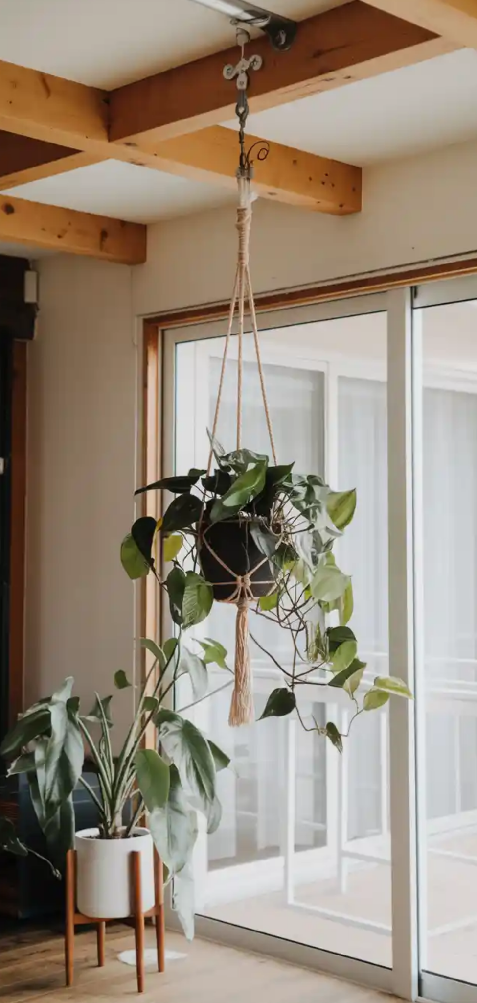 12 Smart Ways to Hanging Plants from Your Ceiling - My Home And Kitchen