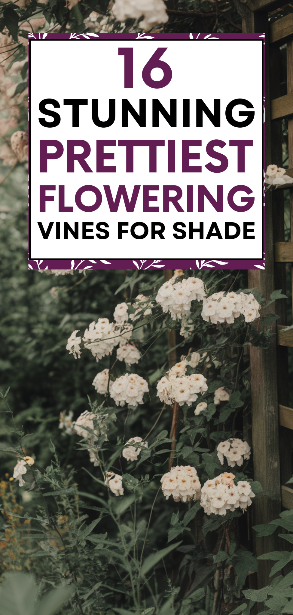 16 Stunning Prettiest Flowering Vines for Shade - My Home And Kitchen