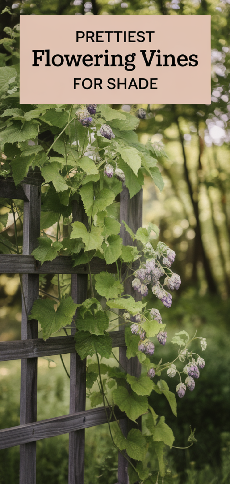 16 Stunning Prettiest Flowering Vines for Shade - My Home And Kitchen