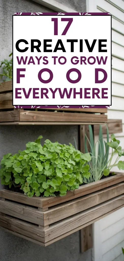 17 Creative Ways to Grow Food Everywhere - My Home And Kitchen