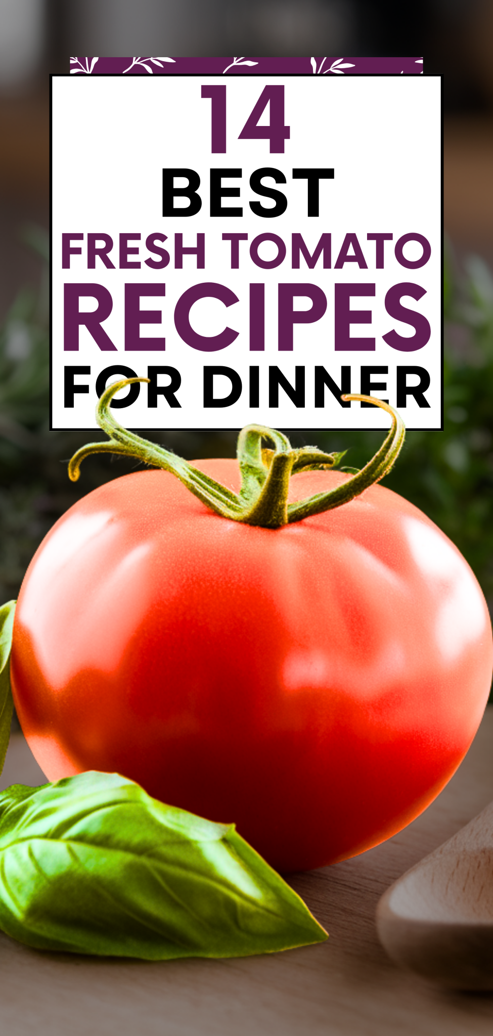 14 Best Fresh Tomato Recipes for dinner - My Home And Kitchen
