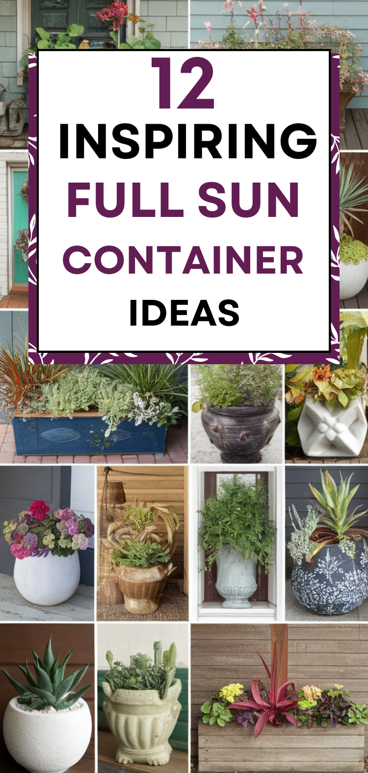 7+ Inspiring Full Sun Container Ideas - My Home And Kitchen