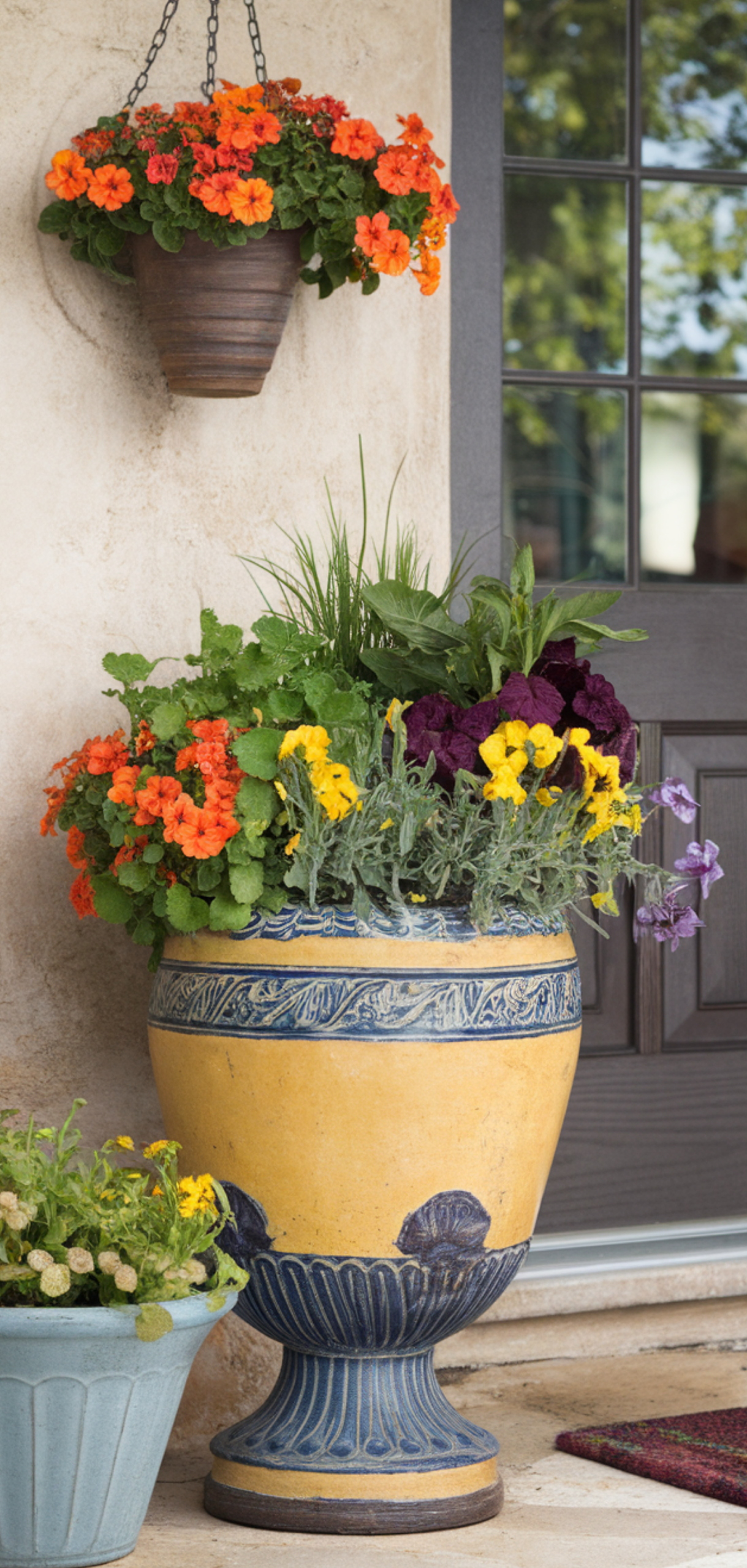 7+ Inspiring Full Sun Container Ideas - My Home And Kitchen