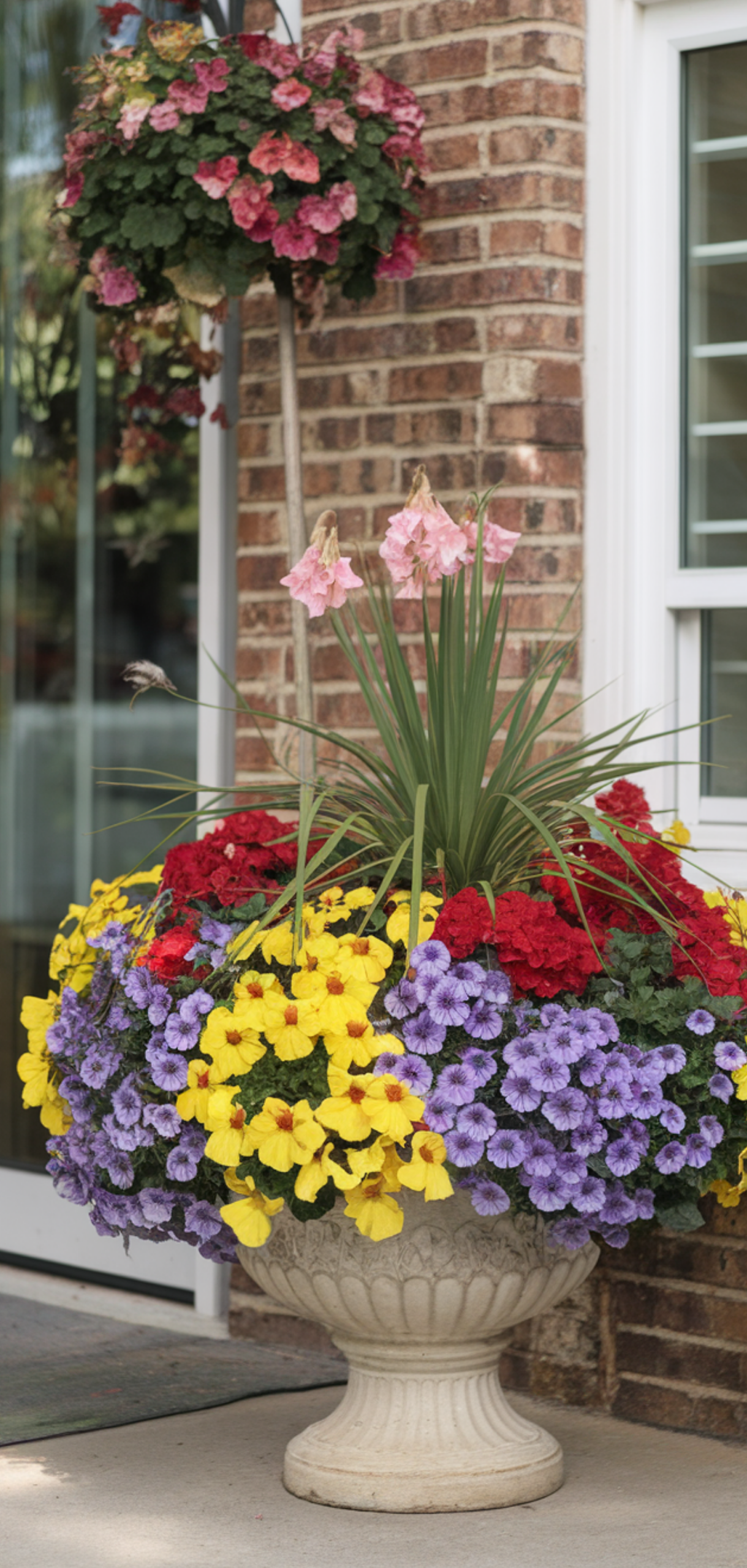 7+ Inspiring Full Sun Container Ideas - My Home And Kitchen