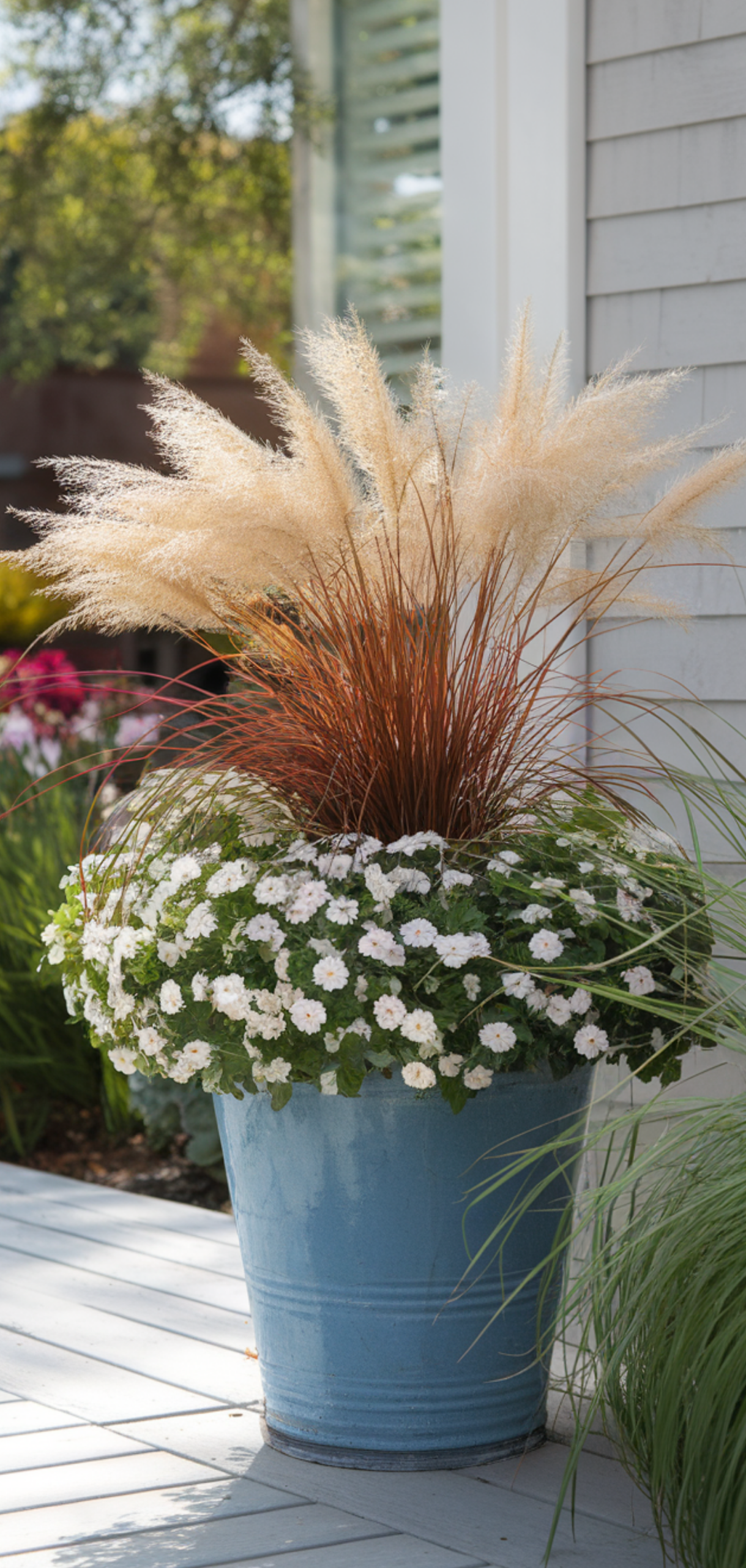 7+ Inspiring Full Sun Container Ideas - My Home And Kitchen