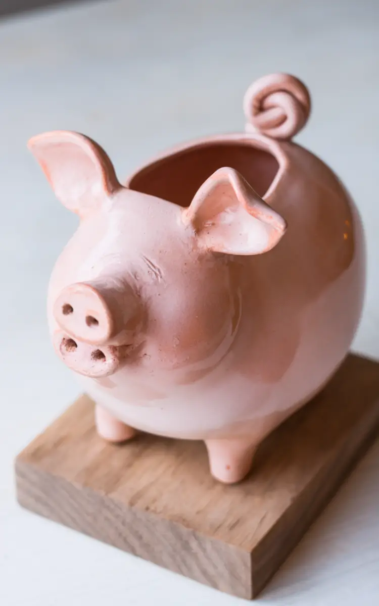 18 Best Animal Pinch Pot Ideas - My Home And Kitchen