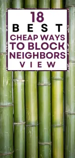 18 Best Cheap Ways To Block Neighbors View - My Home And Kitchen