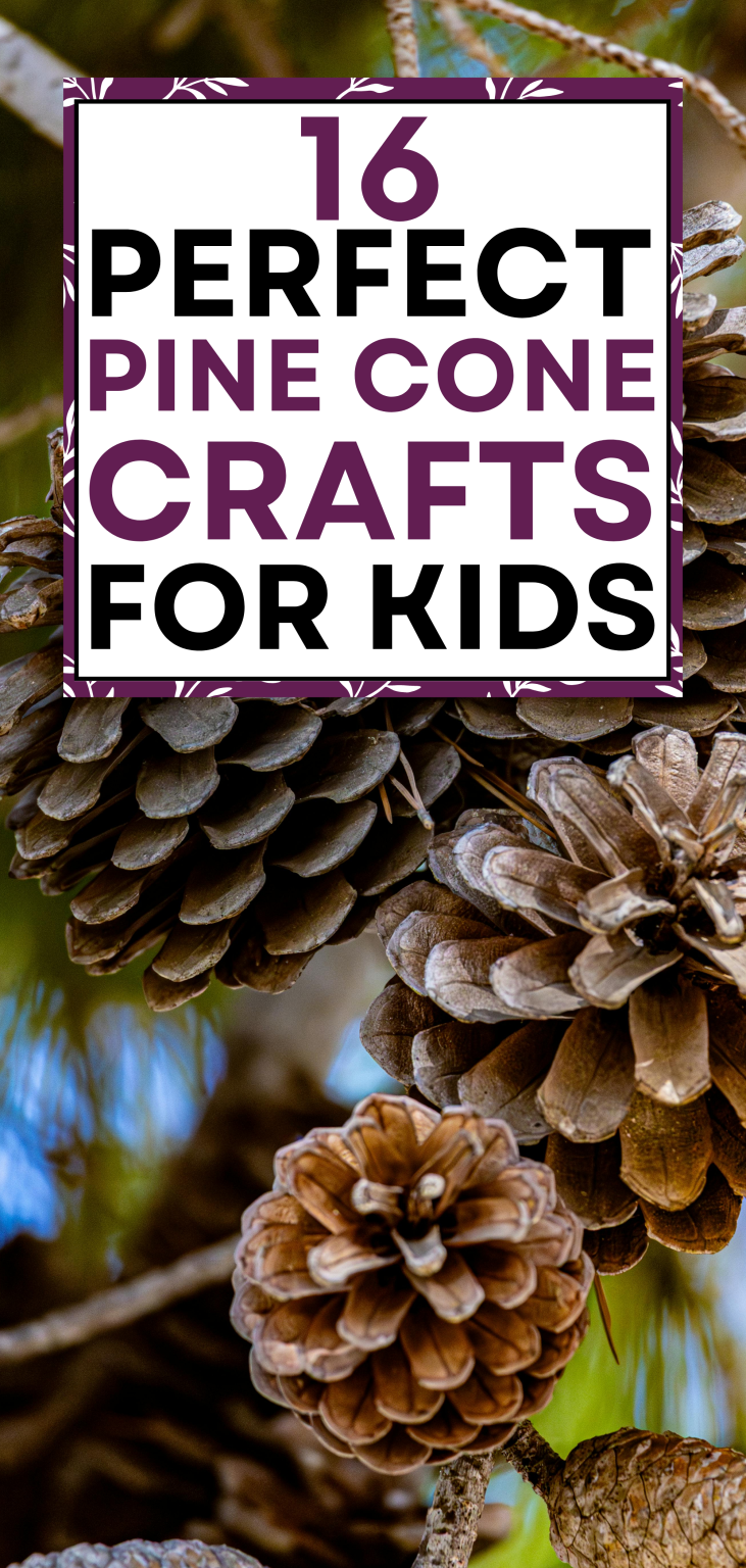 16 Perfect Pine Cone Crafts For kids - My Home And Kitchen